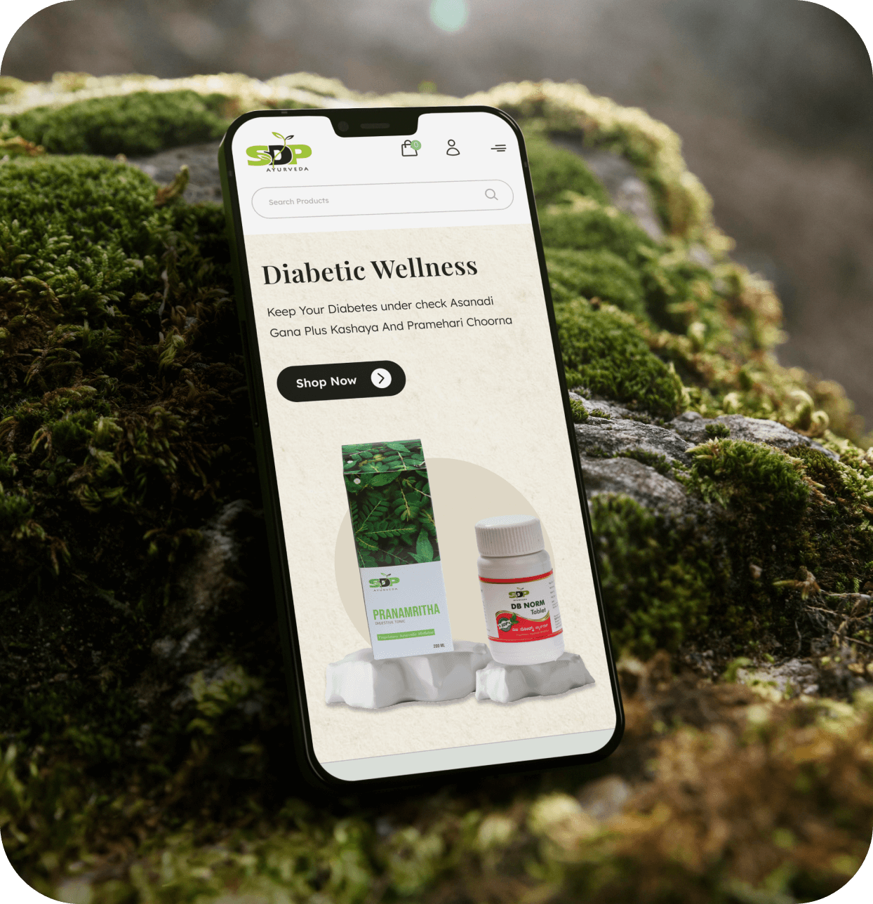 Transforming the Digital Landscape for SDP Ayurveda | The Web People